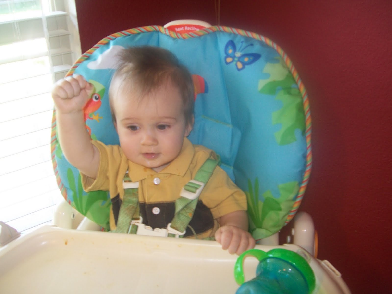 The Tillotson Family: Bananas & BBQ Birthday Bash!