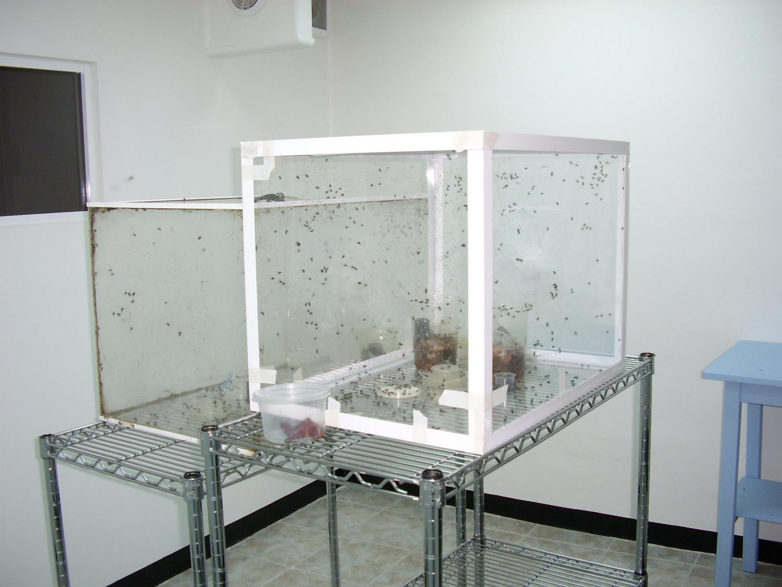 Mixturas Proyecto Innovador: Construyen un insectario en condiciones ...