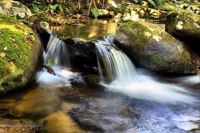 Parque Nacional das Nascentes do Rio Parnaíba