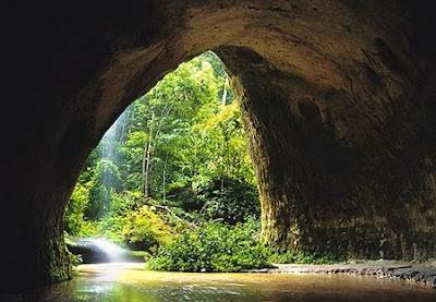 APA ESTADUAL CAVERNA DO MAROAGA - AM