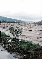 Monterrey, México: Hurricane Gilbert (Huracan Gilberto)
