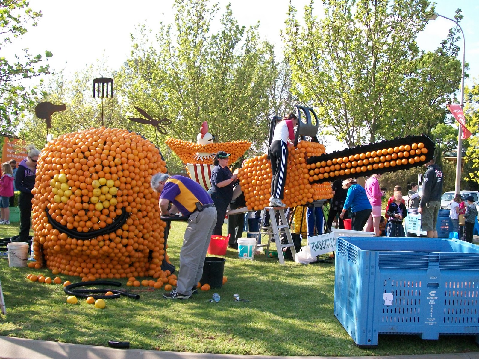 Cockle Creek to Cape York: Day 35, 10.10.2010, 6km, Griffith