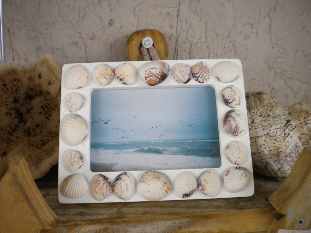Del's Shells: Seashell Photo Frames for Beachy Home Decor