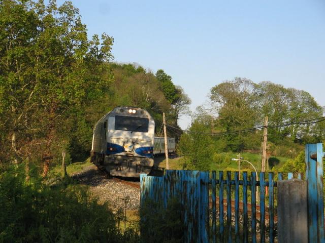 TRENES DE RENFE: TRENHOTEL ATÁNTICO