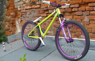 Litegallery: NS Majesty + Argyle 409