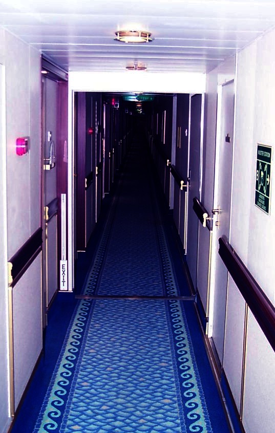 Dreamcatcher: Endless Hallway