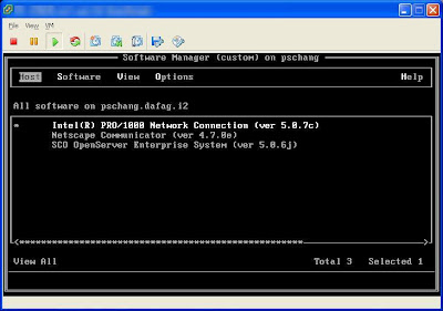 Blog du DS45: HOWTO SCO P2V in the real life