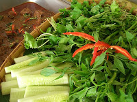 ANGGUN.SIHAT.CANTIK.: KHASIAT PELBAGAI JENIS ULAM