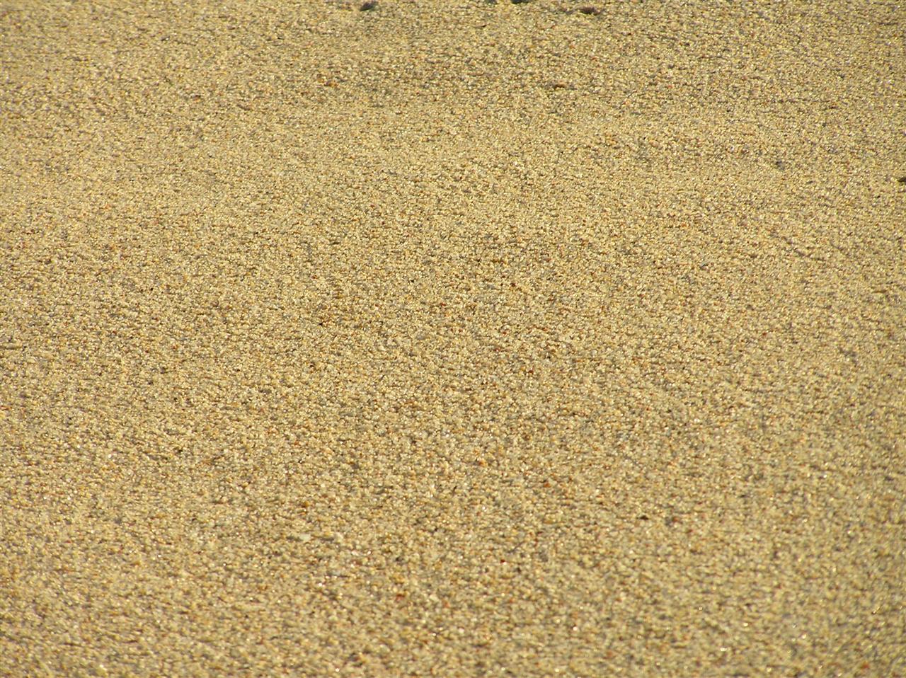 Rachel's Group Virtual Environments: Essex Coastline - Sand and Wall