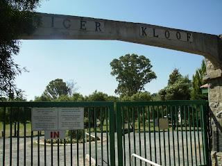 Karen Kaye in South Africa: Tiger Kloof School