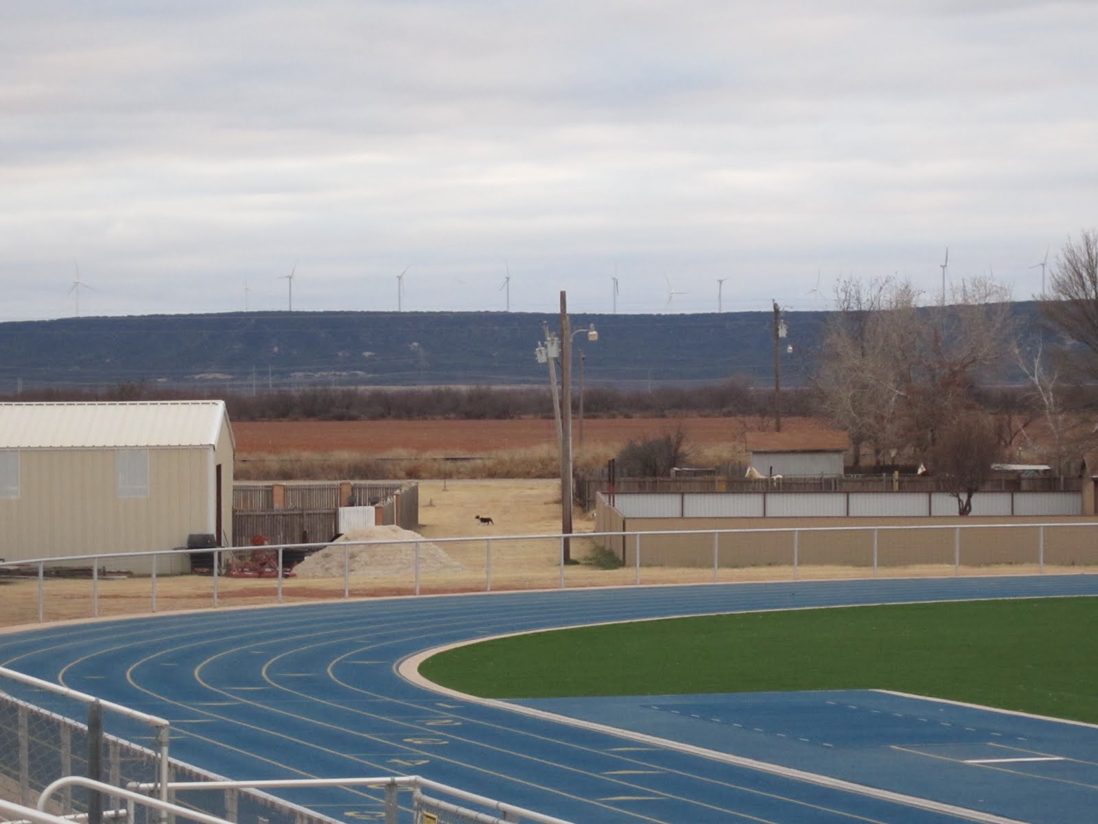 Where is Brandy?: Trent, Texas