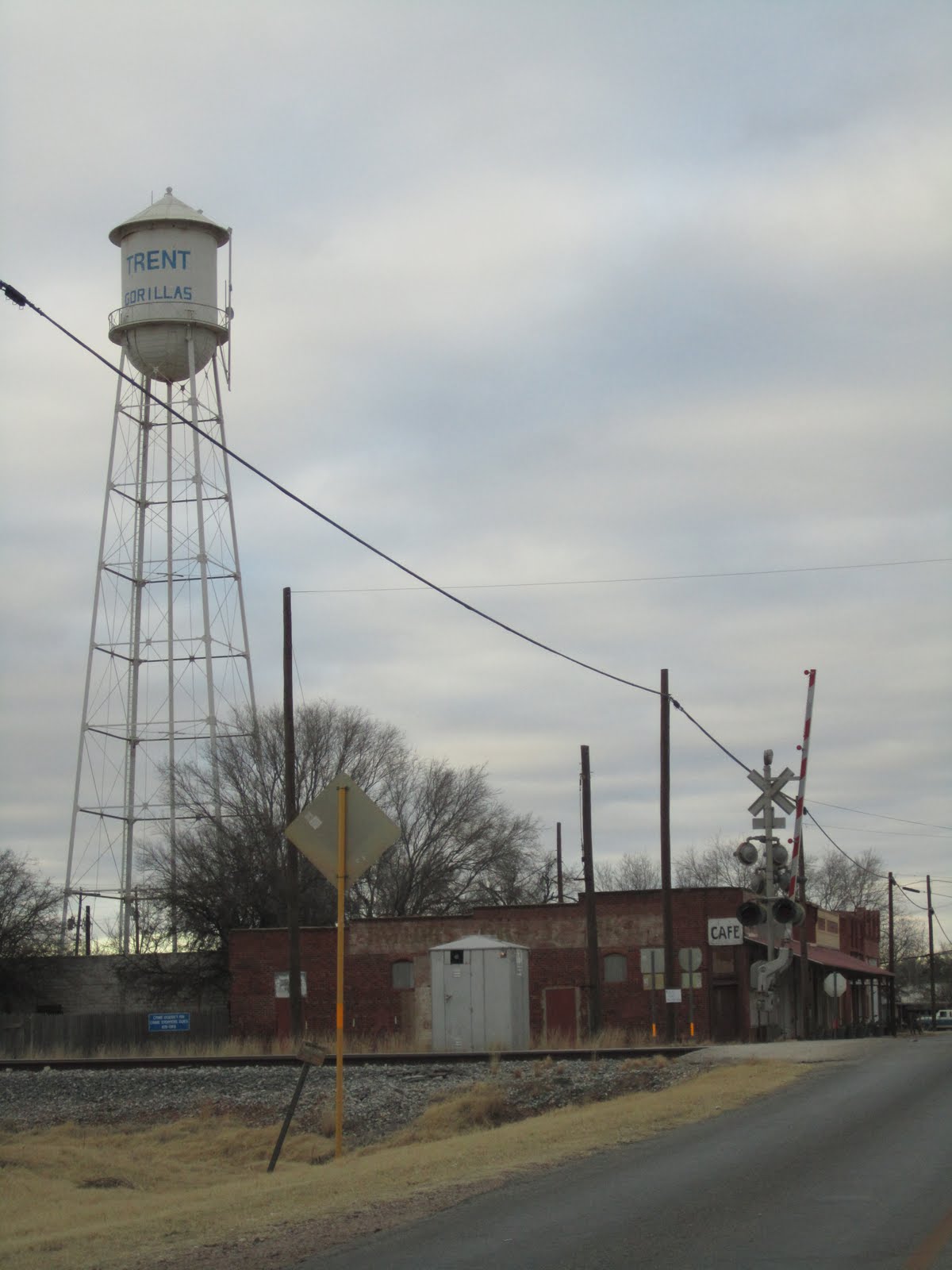 Where is Brandy?: Trent, Texas