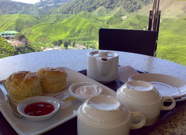 Scones and Masala Tea with a View - Cameron Highlands