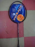 World of Sport: Pro Ace Badminton