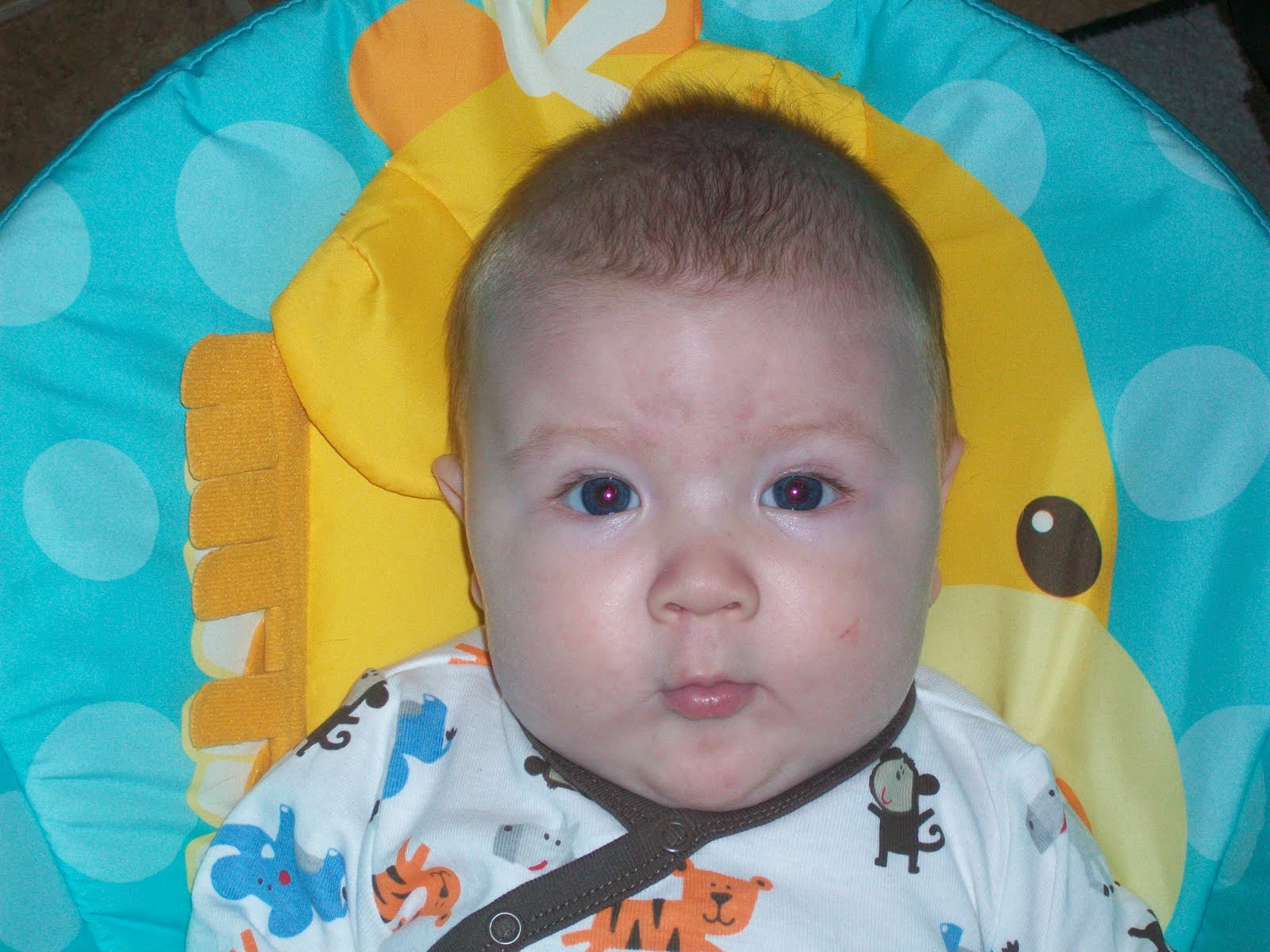 Stories From The Stokes': I love you forever!