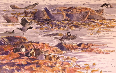 Tim Wootton Wildlife Art: May 2010