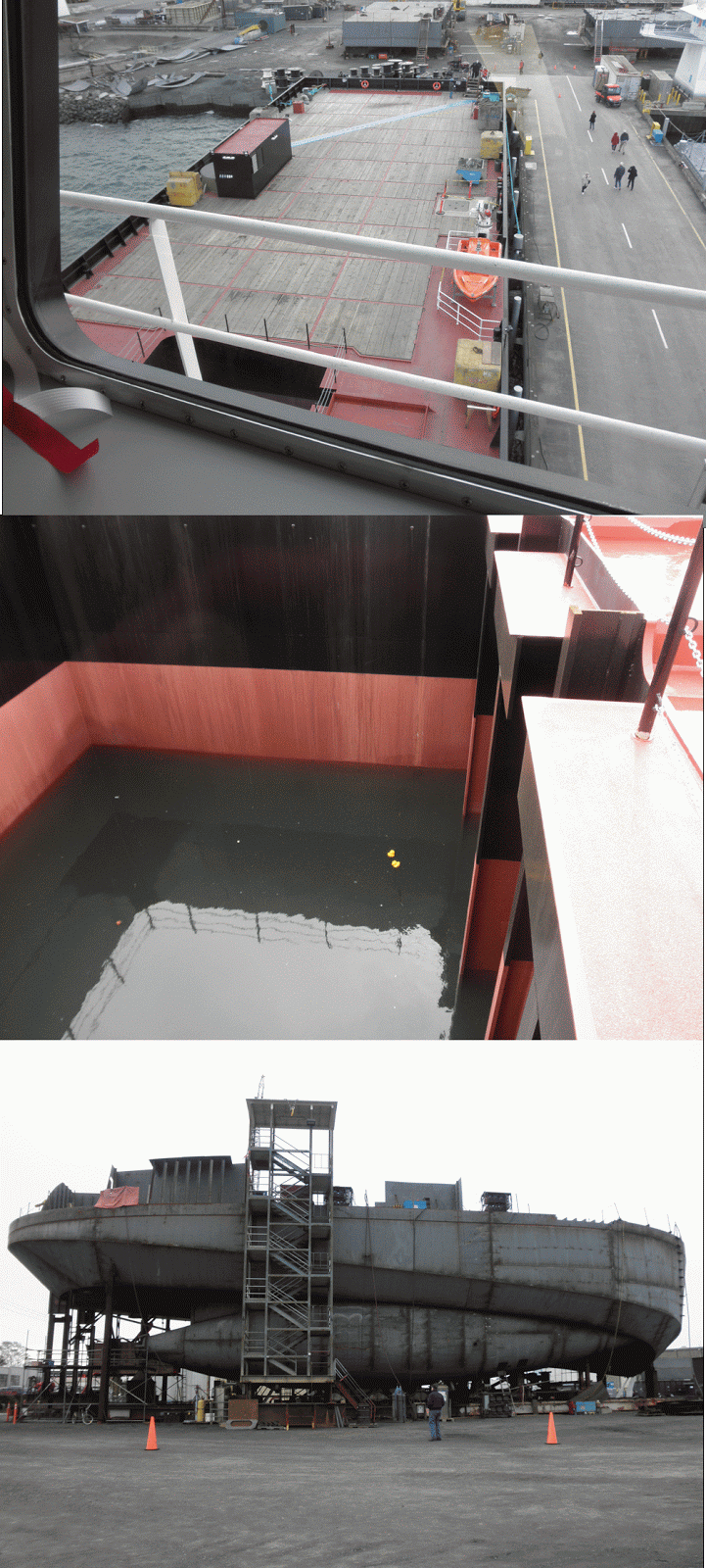 Bananacortes or Bust: We're still alive!