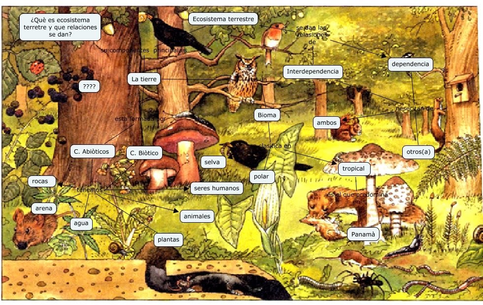 ECOLOGIA: ECOSISTEMA TERRESTRE