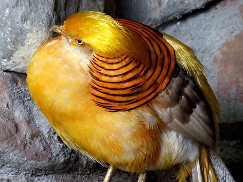 Pelancongan Terengganu: Taman Kuang Ajil