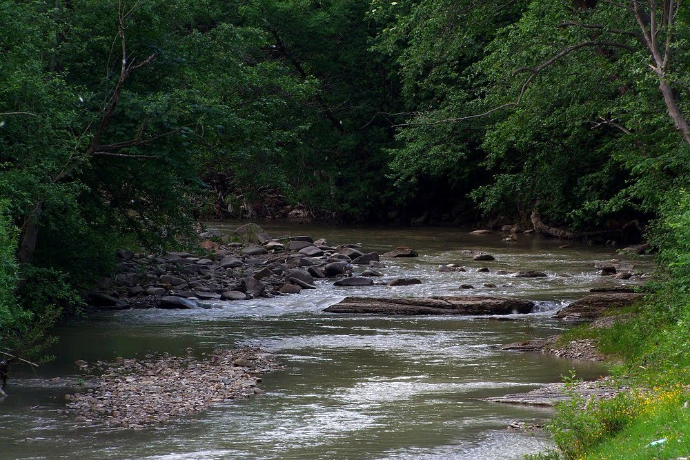 Naycool's adventure: Zona inferioara a vaii Lepsa