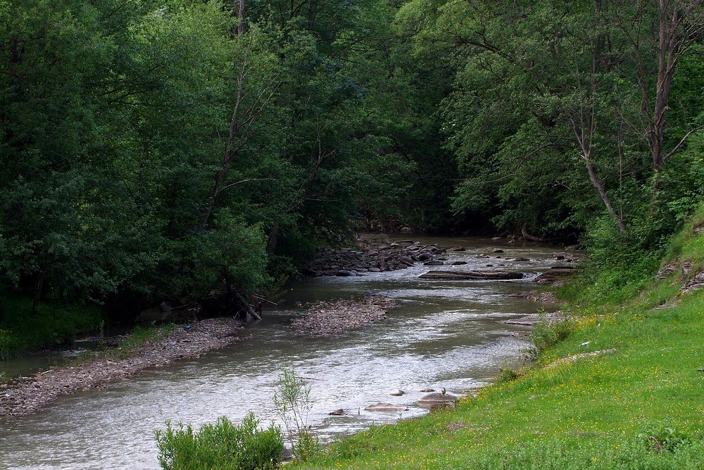 Naycool's adventure: Zona inferioara a vaii Lepsa