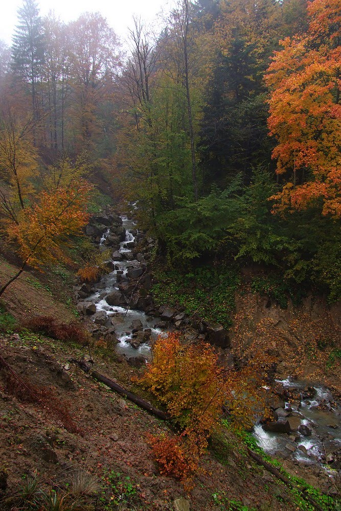 Naycool's adventure: Valea Izvorul Negru