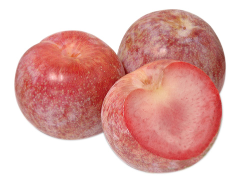 What is a "Pluot" Anyways?: Palm Coast, Flagler County, Florida