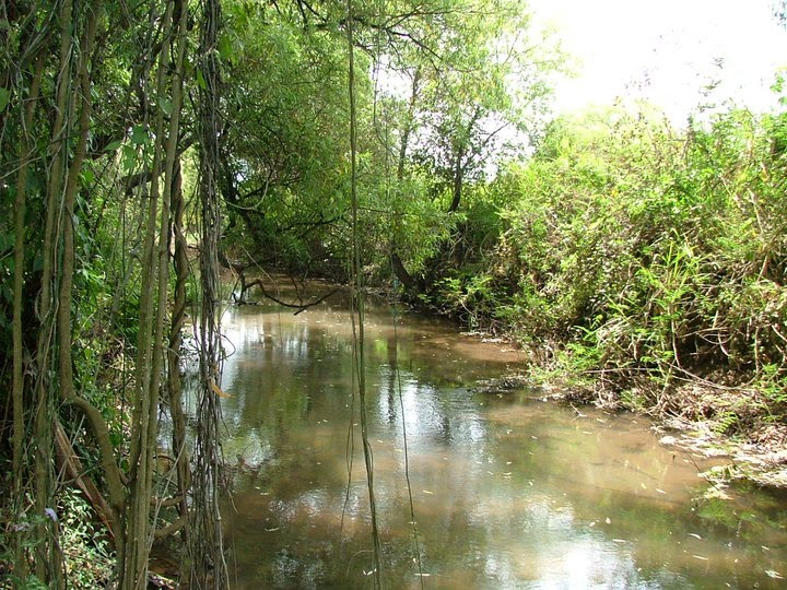 PUERTA NORTE: LO QUE SIGNIFICA MOLOLOA