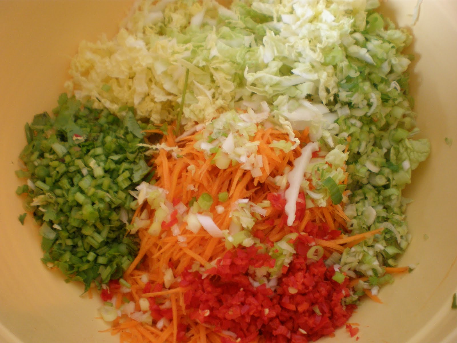 The InTolerant Chef ™: Spring Rolls