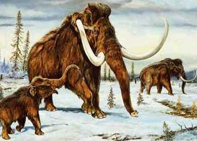 Geólog´OS: Paleogénico / Paleogeno