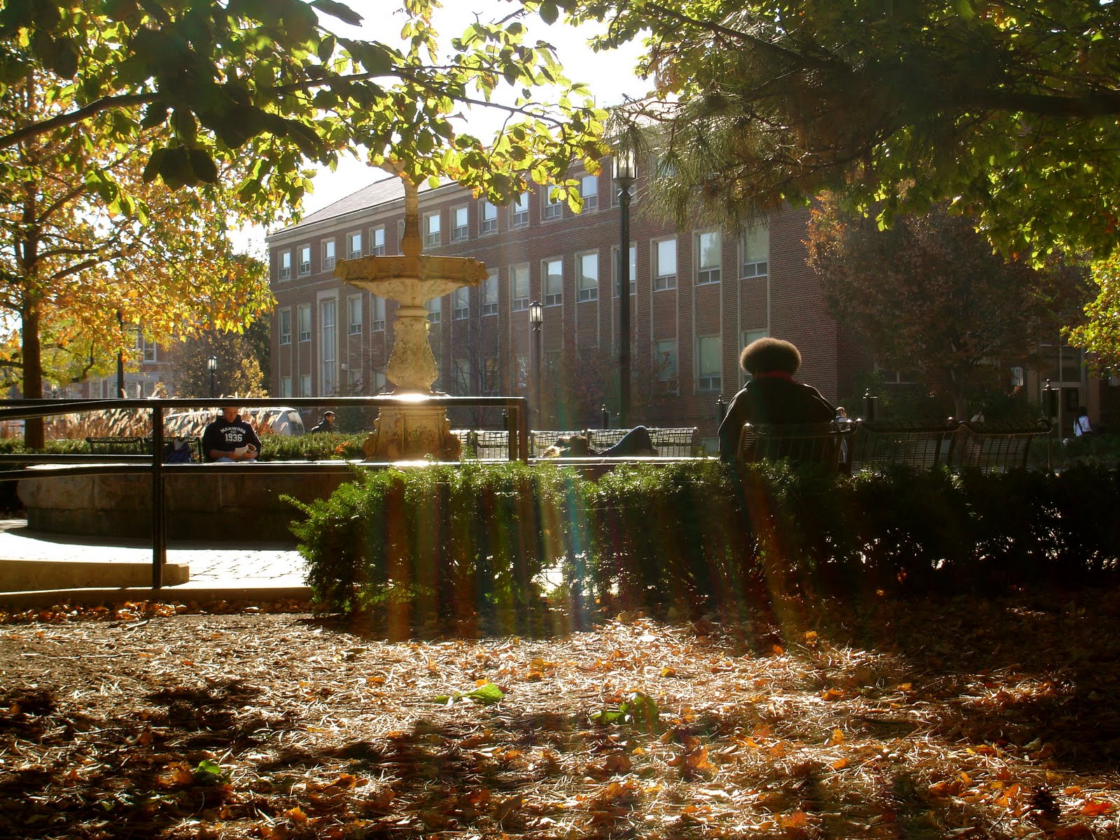 Com 491: Fall at Purdue