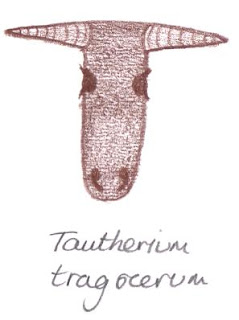 ART Evolved: Life's Time Capsule: Prehistoric Animal Alphabet