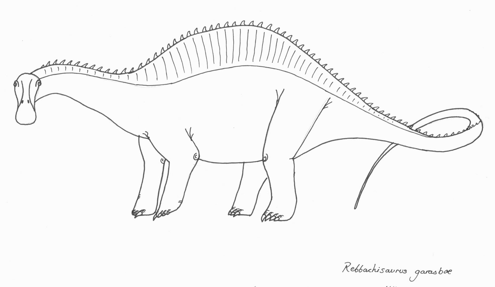 The Disillusioned Taxonomist: September 2010