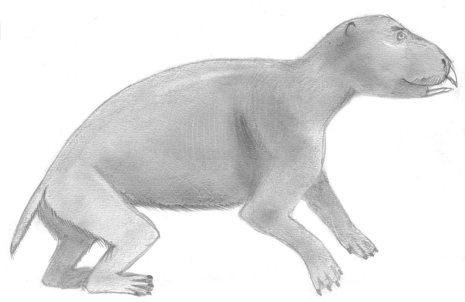 ART Evolved: Life's Time Capsule: Drawing Mega-Mammals