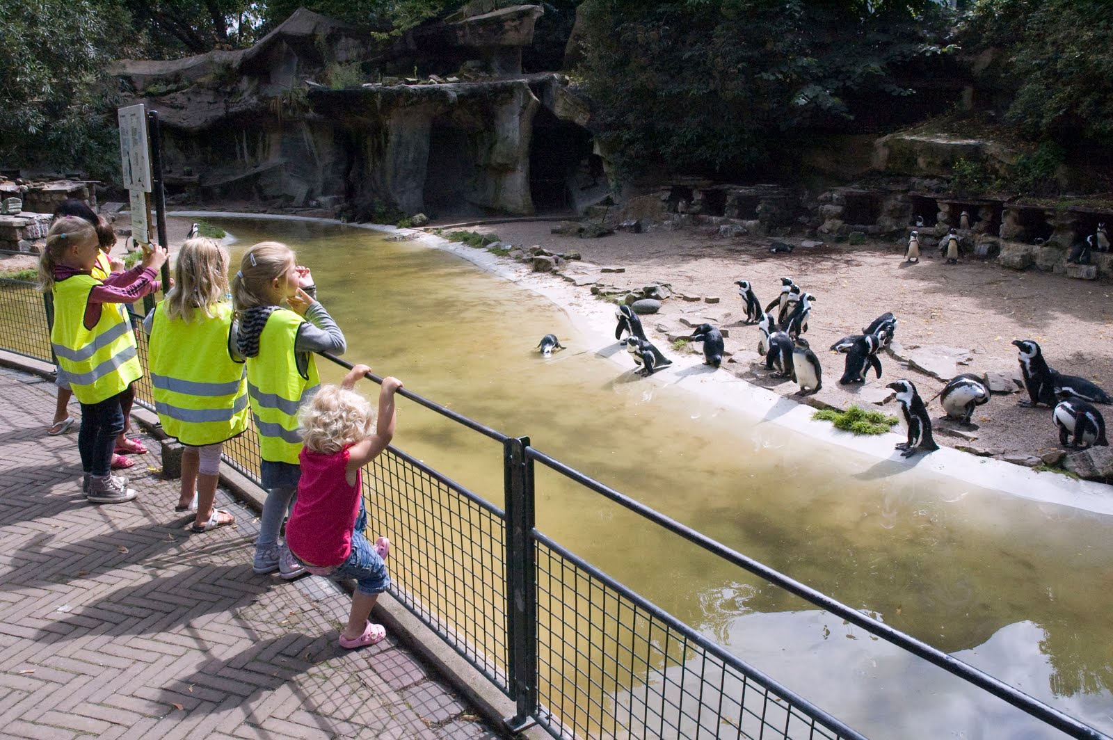 Herman's Corner: Amsterdam Zoo - Artis