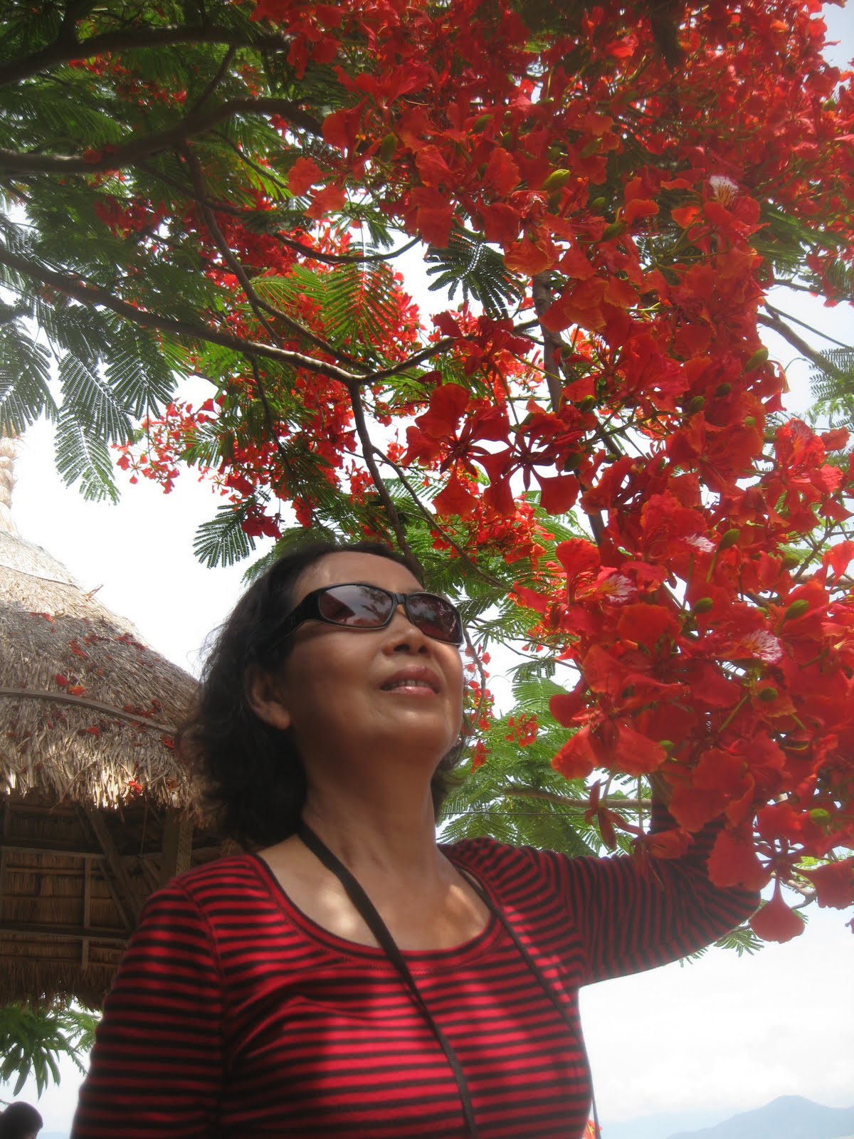 DUNG SÀIGÒN - VÕ HÀ ANH: Tiểu Sử VÕ HÀ ANH và DUNG SÀIGÒN