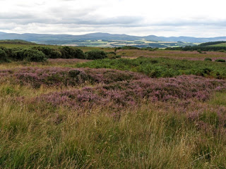 Northumberland Inn Way 2008: Day 7 - Bamburgh to Wooler