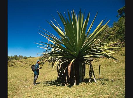S O L N A C I E N T E N E W S: A las áreas protegidas del país les ...