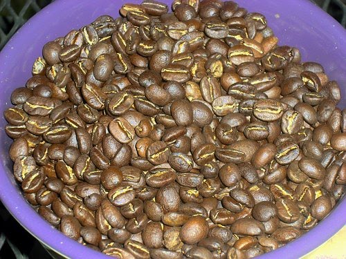 Culinary Alchemy: Cool Beans! - Empowering The People