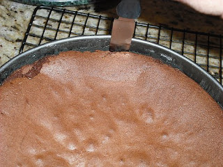 Culinary Alchemy: Decadent Deflated Dessert - Fallen Chocolate Soufflé Cake