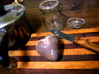 EcoRover: Pickled Heart