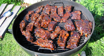 EcoRover: Bitterroot Fest '09: Montana's State Flower & Elk Rib BBQ