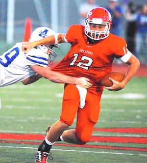 Oregon Gifts of Comfort and Joy: The Online Diary of a Central Oregon ...