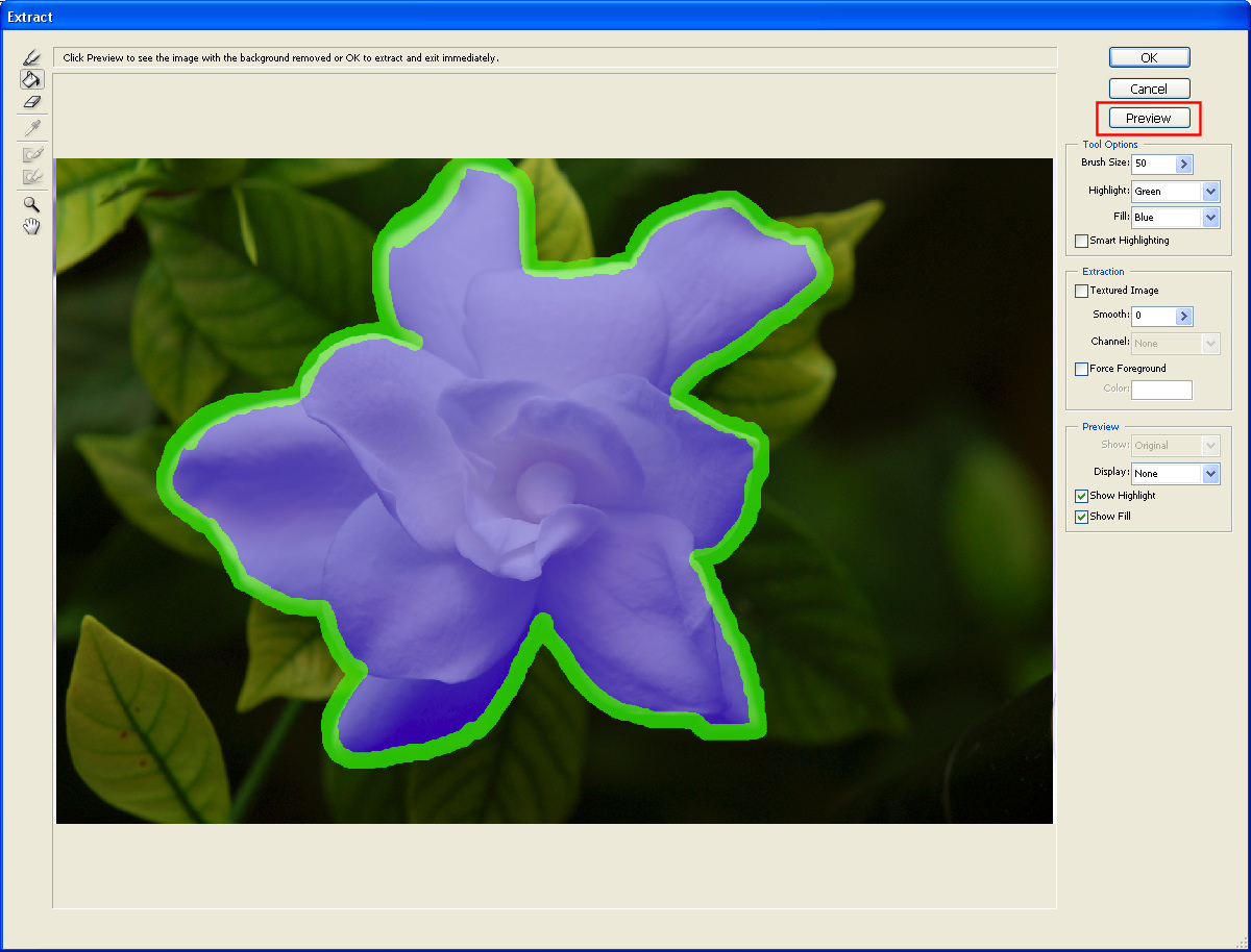 Humbug Graphics Galore: Removing Background in Photos