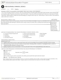 Educational Experience: IEP