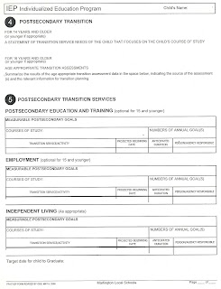 Educational Experience: IEP