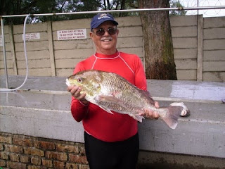 Anyone ever fish for Moff grunter??