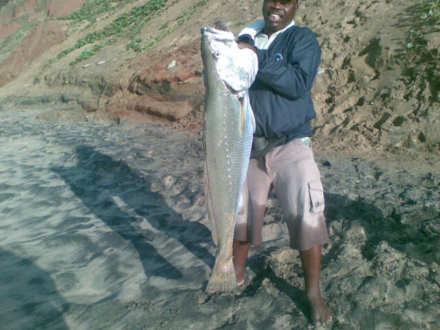 Fishing Report South Africa: Salmon Richards Bay 5 mile