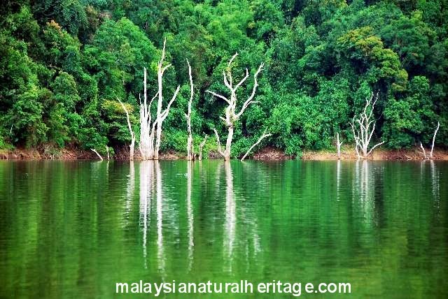 The Beauty of Nature♥