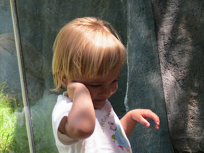 The Bean Family Blog